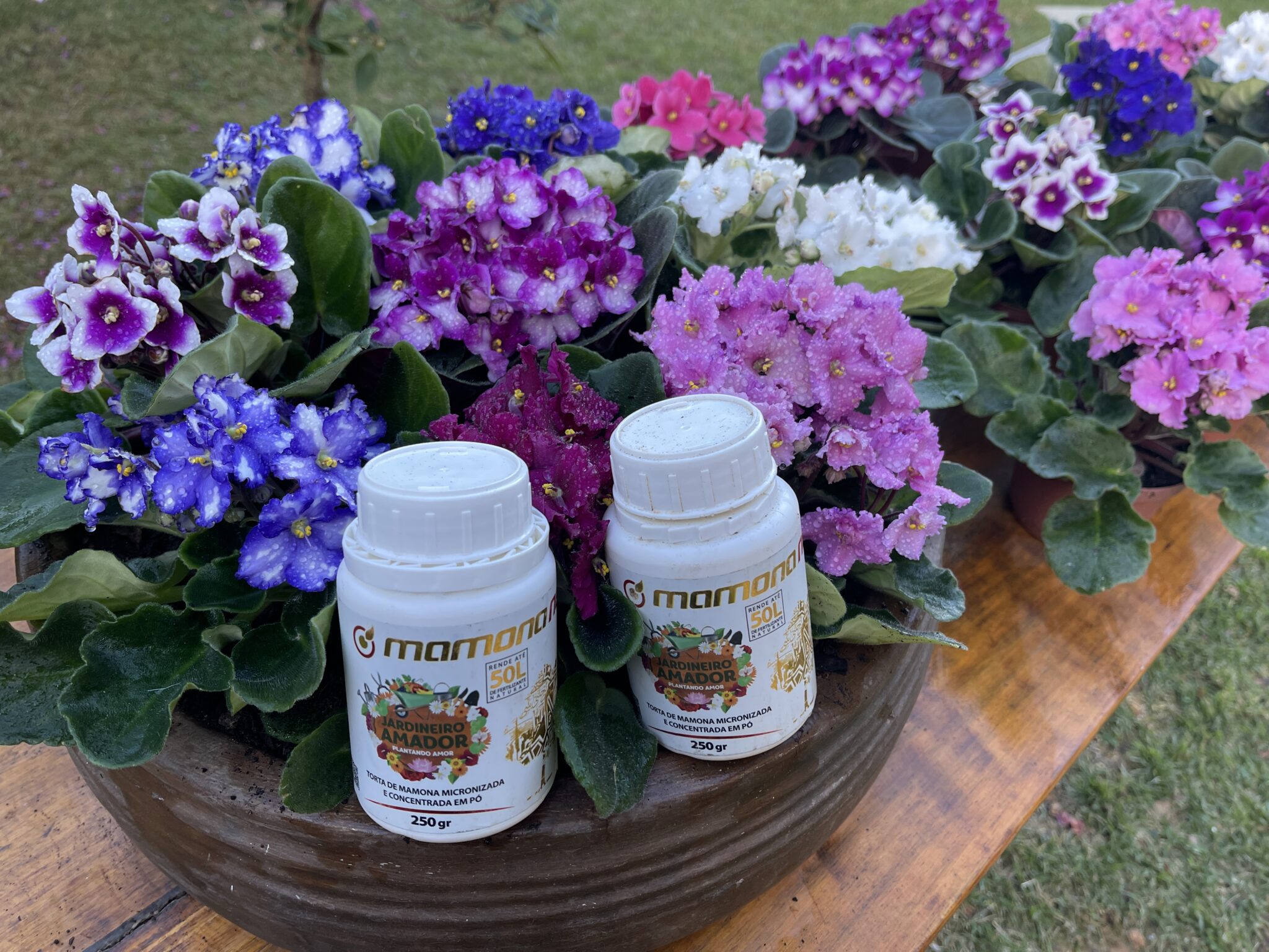 Como proteger as plantas do frio e geadas | Blog do Jardineiro Amador